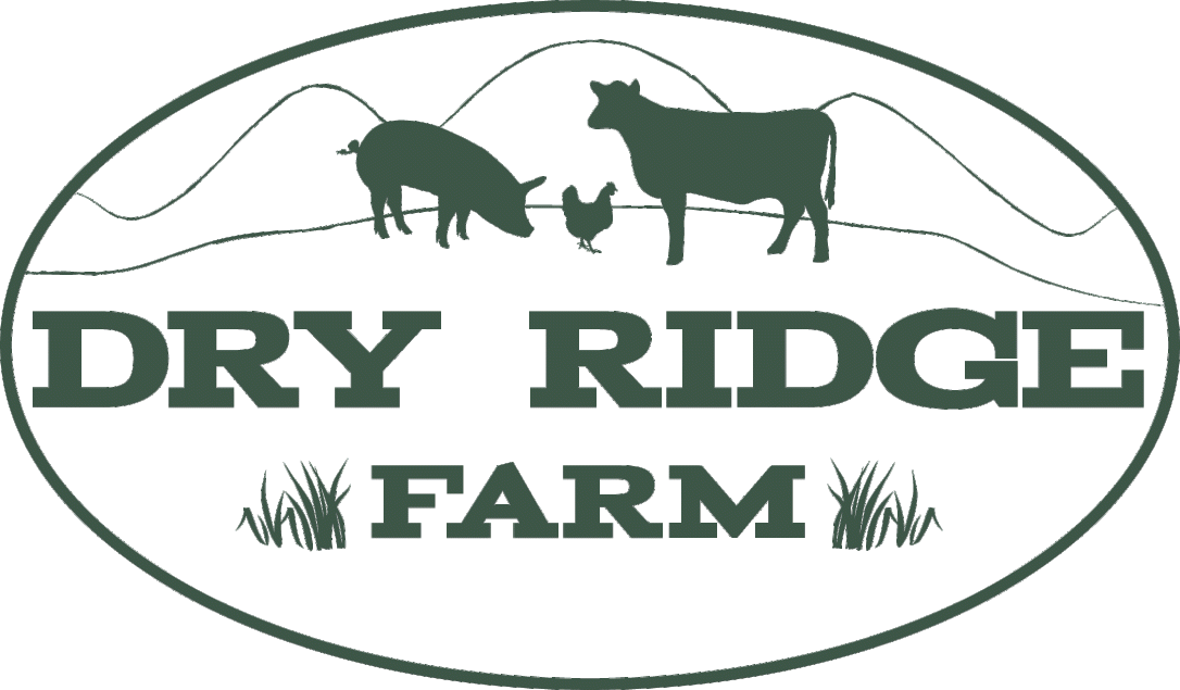 Lambing Season, Bottle Babies, and Land Improvements